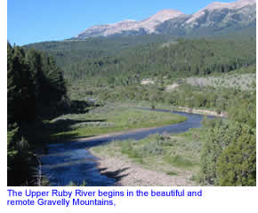 Major Montana Access Win - Fly Fisherman