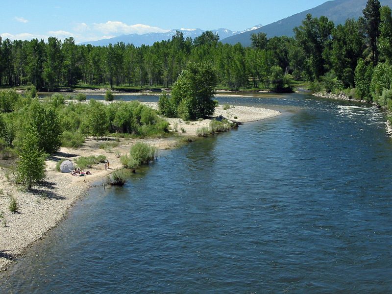 The Bitterroot River in Montana | Detailed Fly Fishing & Floating Guide
