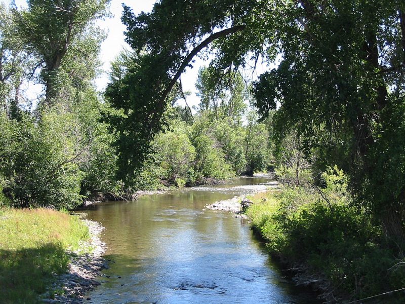The Shields River in Southern Montana : Fly Fishing Information, Photos ...